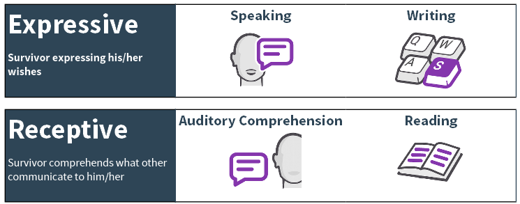 What Is The Difference Between Expressive And Receptive Language?